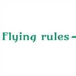 MindStick User Flying – MindStick